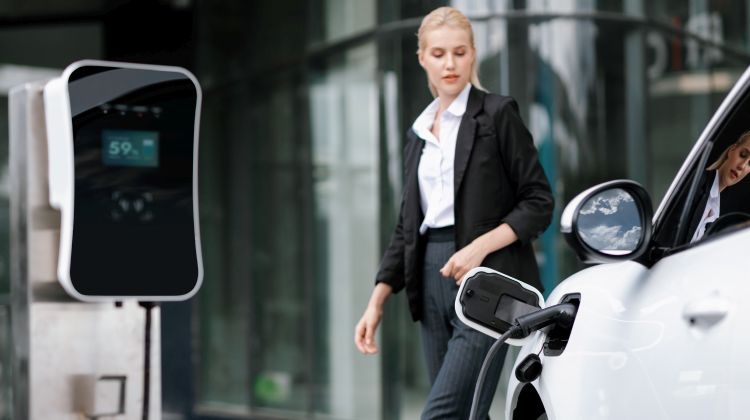 Københavns sorte får har fået vokseværk - og nu skal elnettet følge med ...